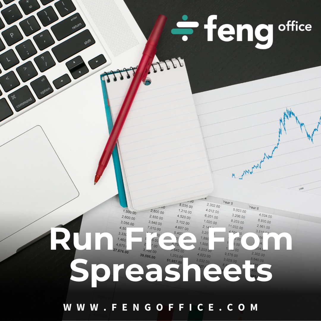 Move Beyond Excel with Feng Office
