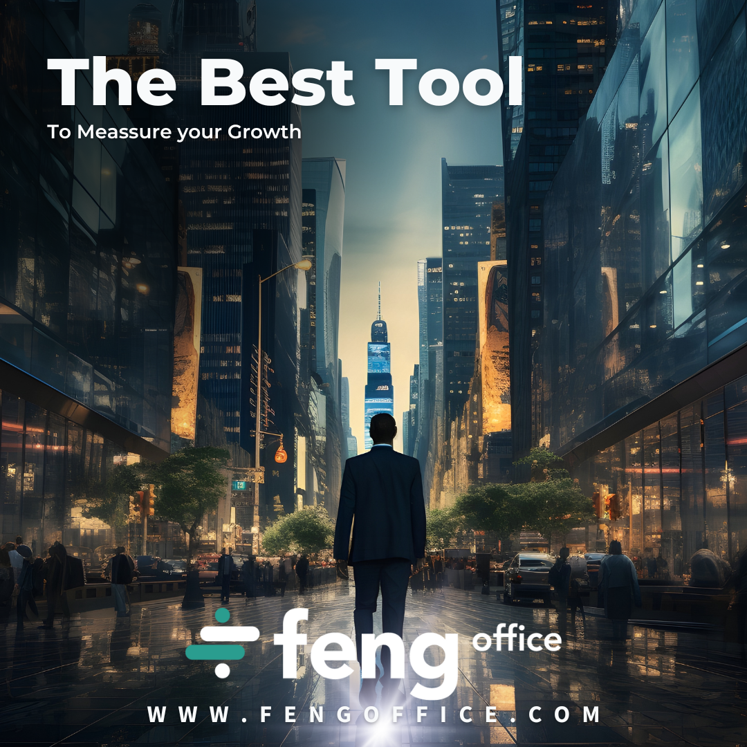 Understanding Your Business with Feng Office